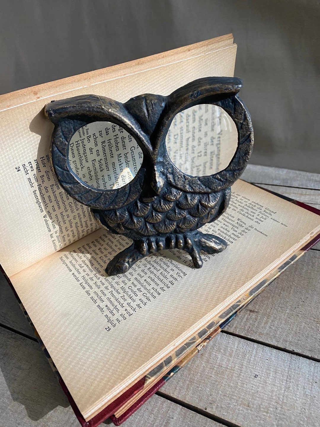 Whimsical Owl Magnifying Glass - Etsy