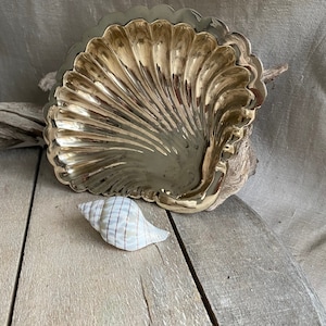 Heavy Cast Brass Shell Trinket Tray - Etsy