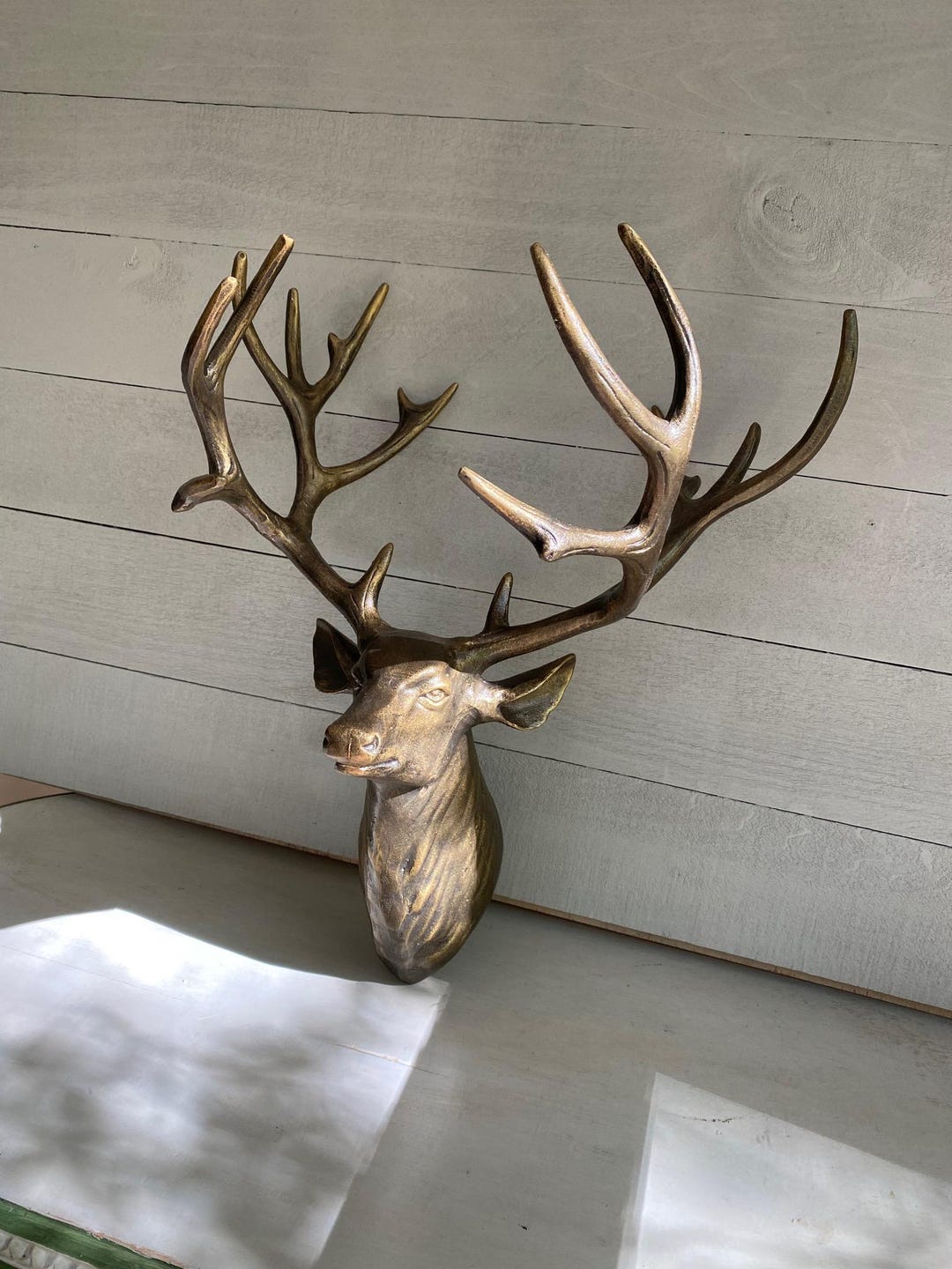 Majestic Wall Mounted Deer Head - Etsy