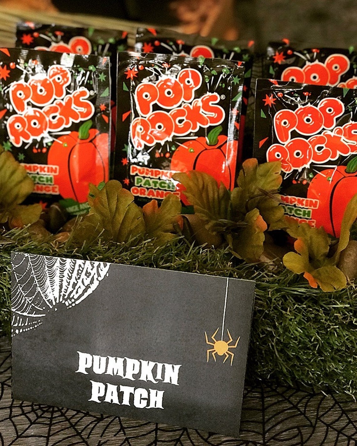 VALUE BUNDLE: Black Cat Halloween Party Decor, Kids Halloween Party ...