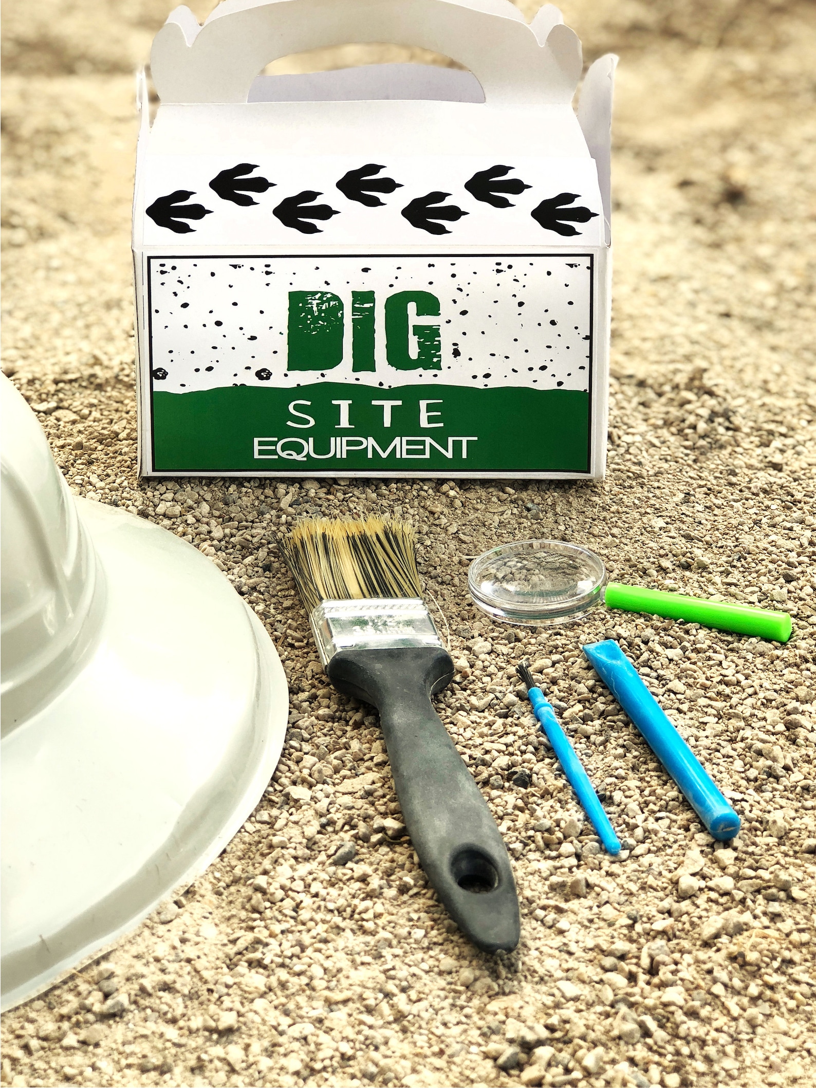 Dinosaur Party Activity, Prehistoric Dino Dig Site Labels ...