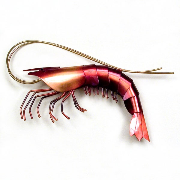 Shrimp Art - Etsy