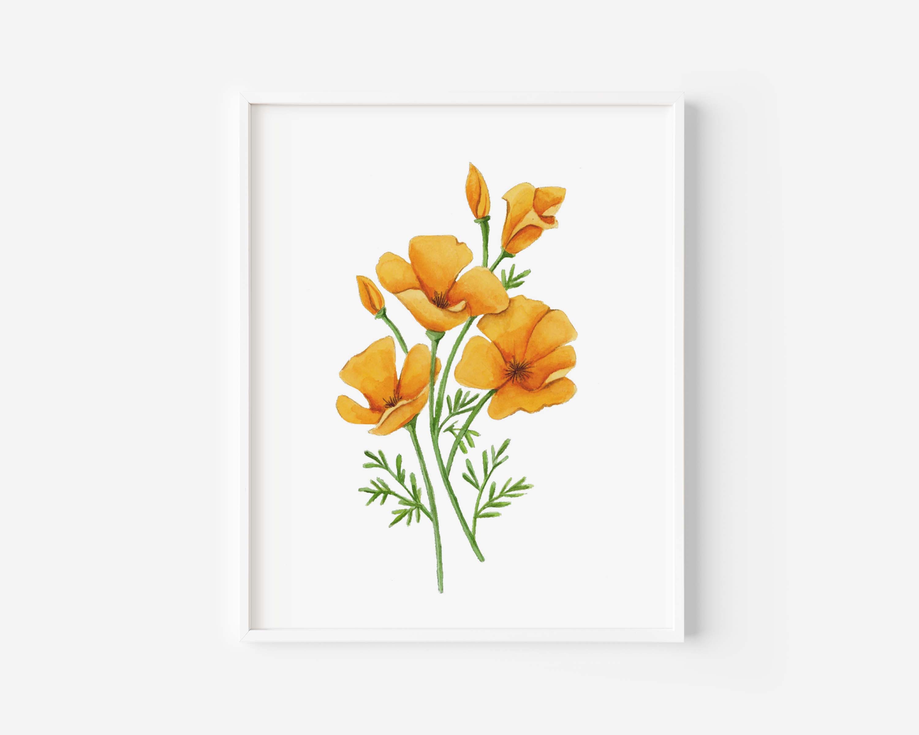 California Poppies Art