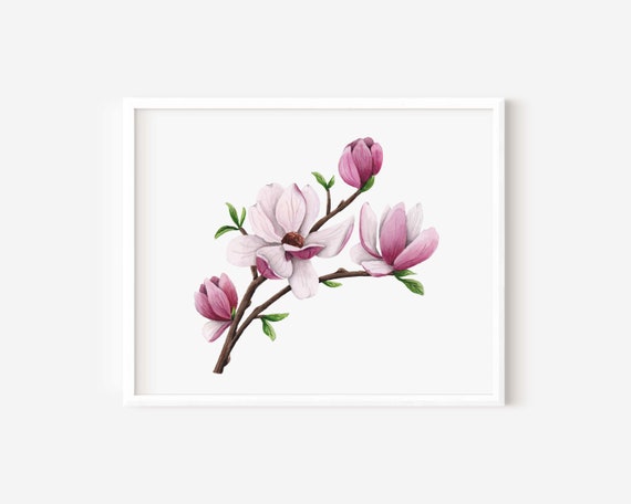 Pink Magnolia Painting