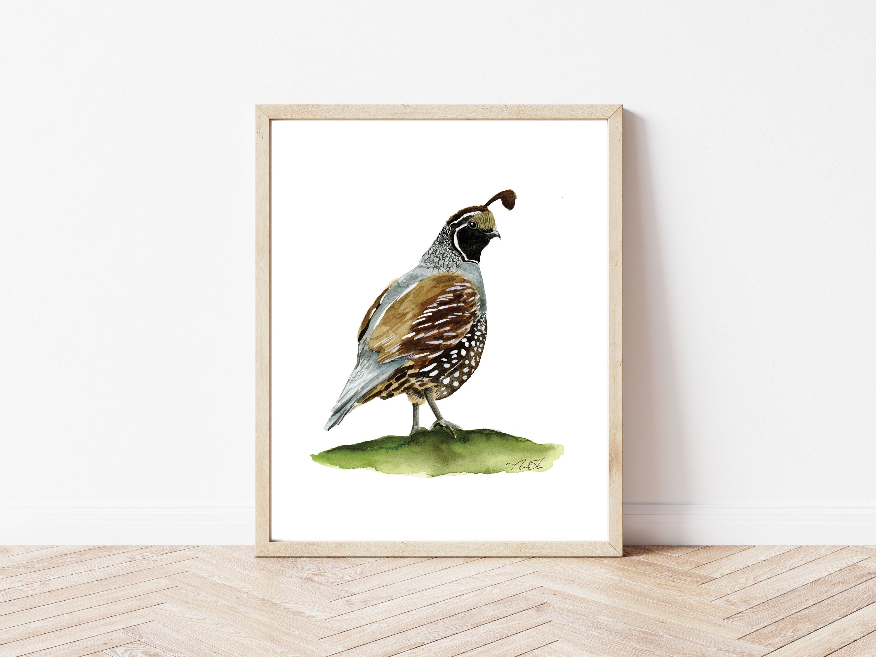 Quail Art