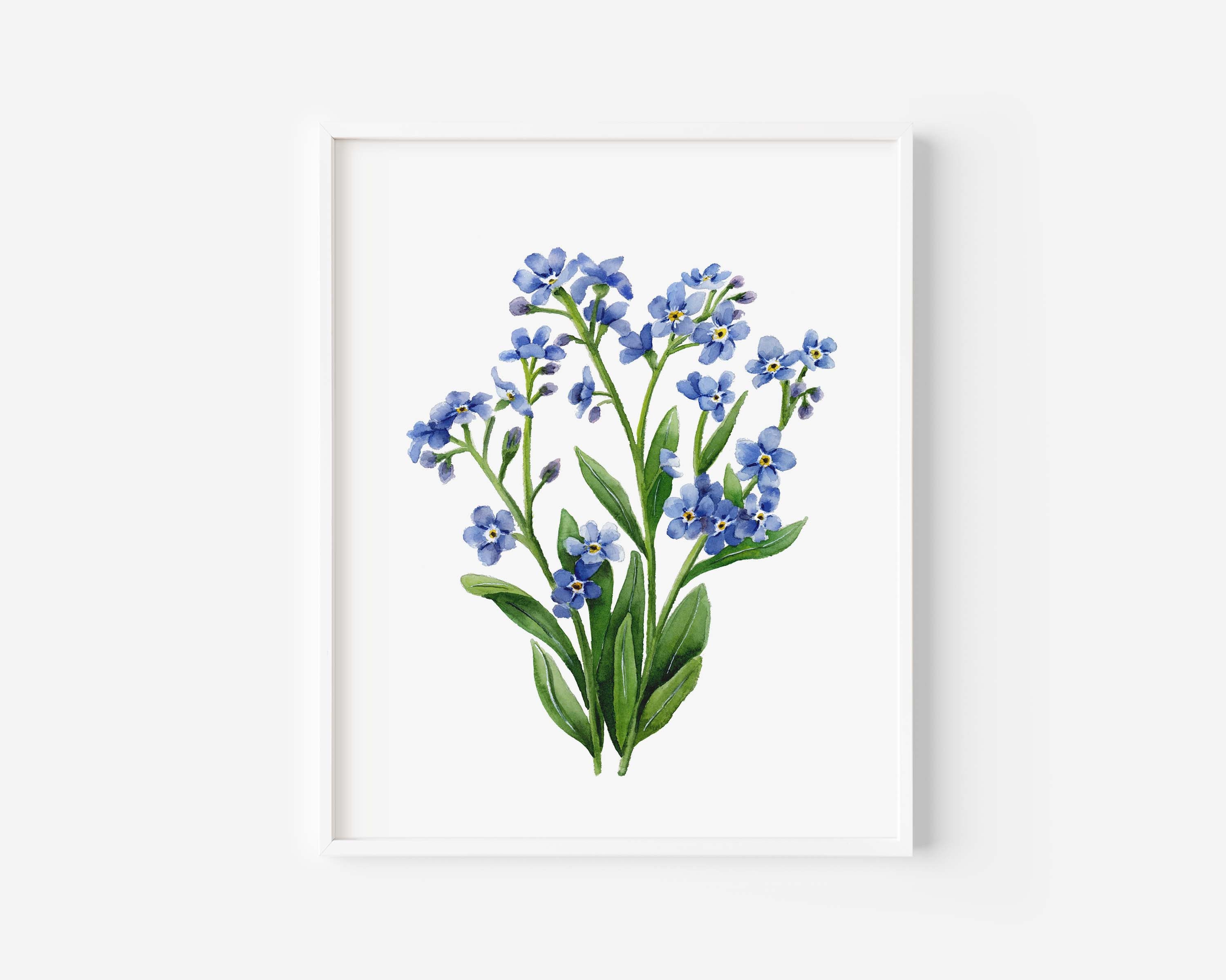 Forget Me Not Flowers Wall Art Print Forget Me Not - Etsy