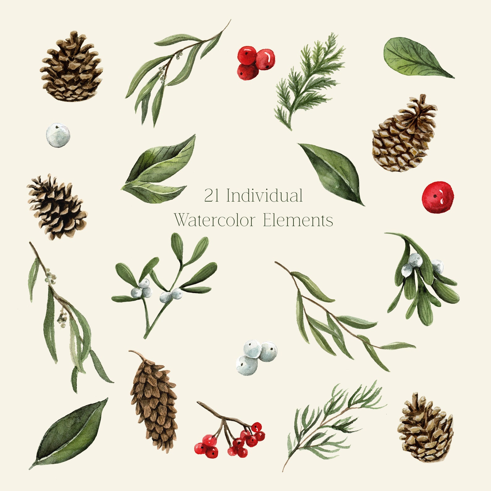 Christmas Clip Art Holiday Graphics Winter Greenery Pngs - Etsy