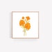 California Poppy Art, California Poppy Print, California State Flower ...