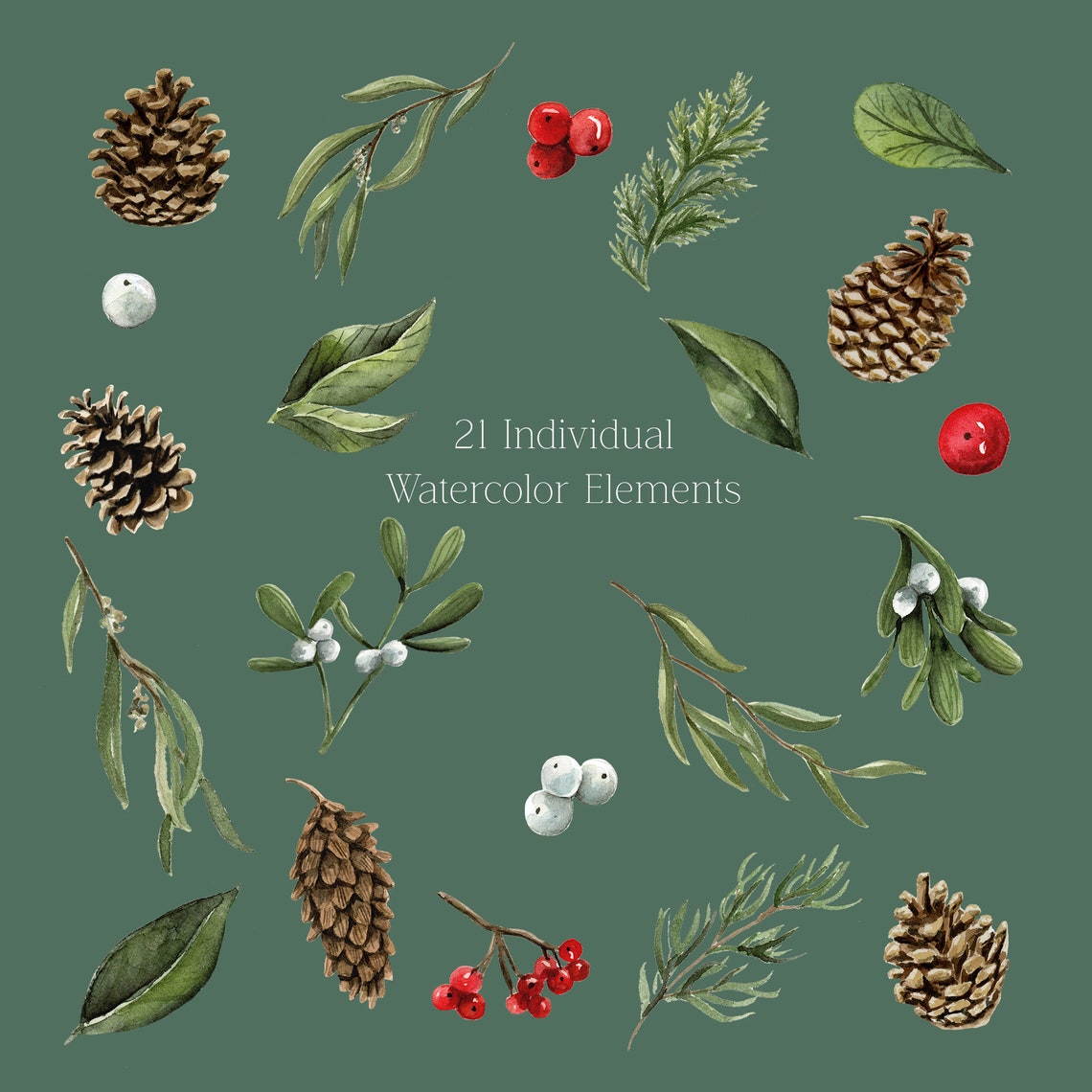 Christmas Clip Art Holiday Graphics Winter Greenery Pngs - Etsy