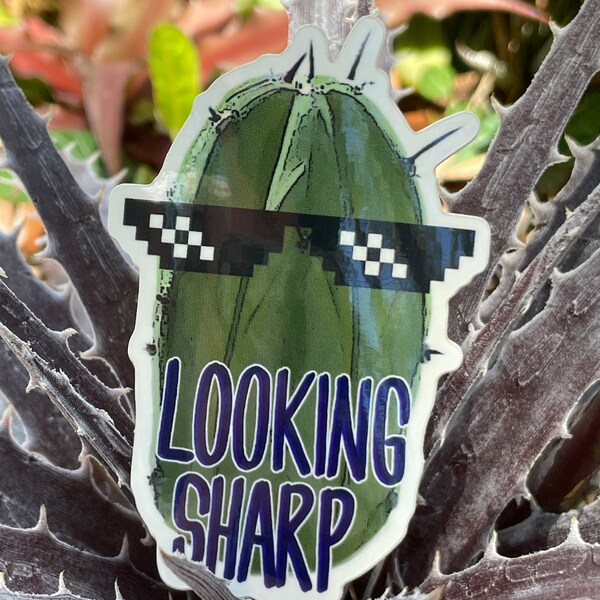 Looking Sharp Print - Etsy