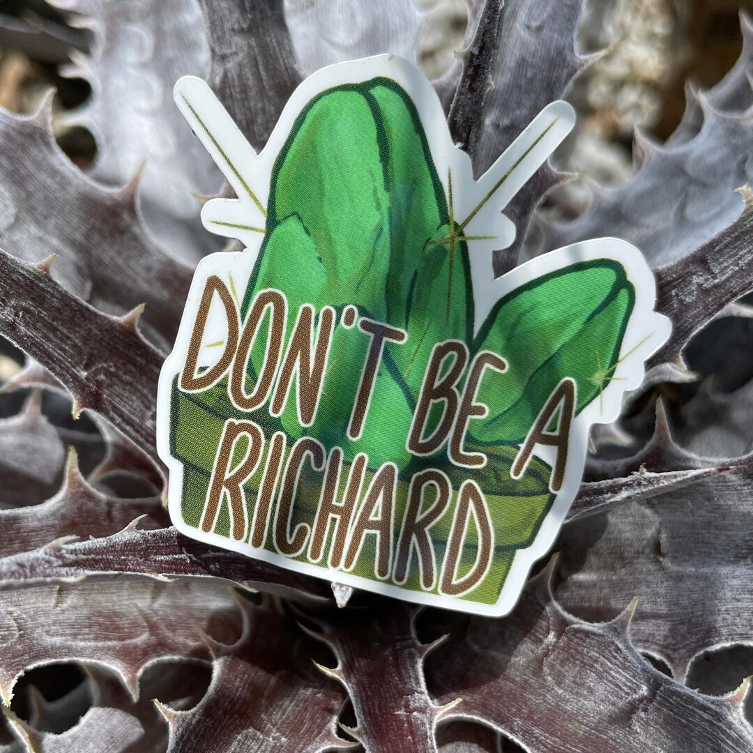 Don't Be A Richard Vinyl Sticker, Bumper Sticker, Water Bottle Sticker ...