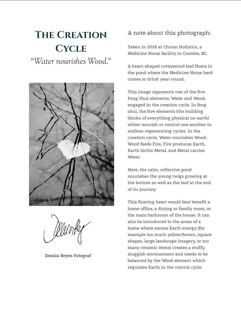 Black and White Photo THE CREATION CYCLE Digital Download - Etsy