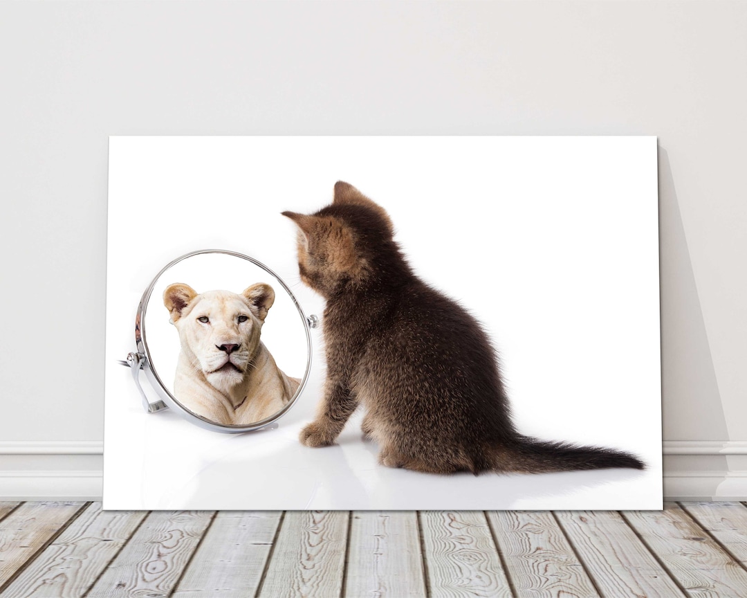 Kitten Sees Lion Reflection Canvas – Funny & Inspirational Cat Art ...