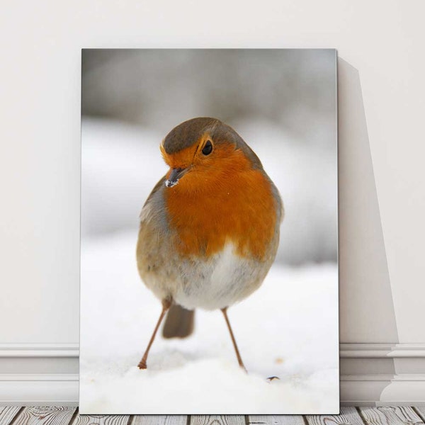 Robin Photo Frame - Etsy UK