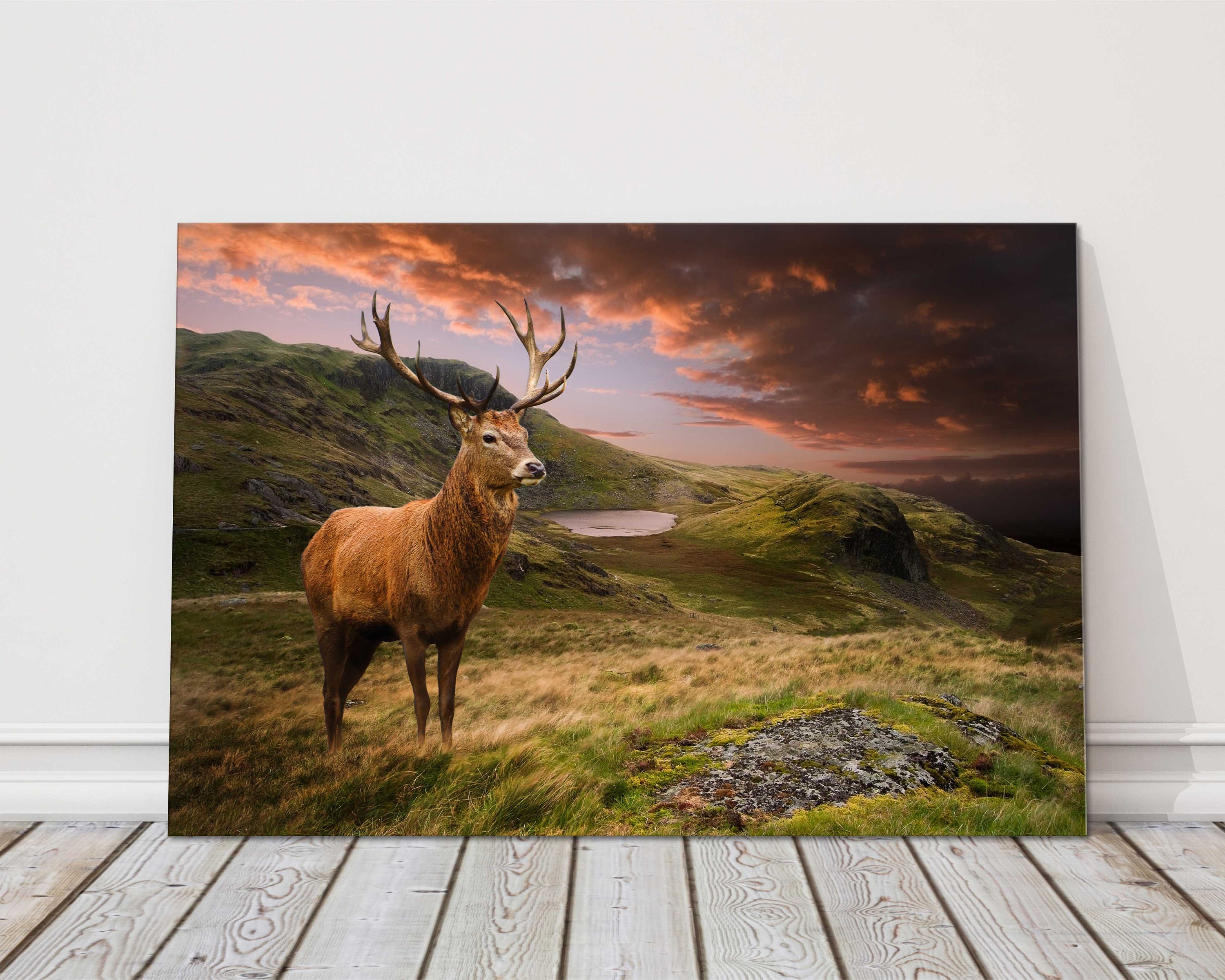 Red Deer Stag in the Sunset on a Mountain Landscape. Printed and Framed ...
