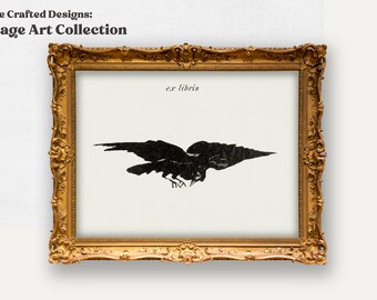 Vintage Crow Decorative Print - Etsy