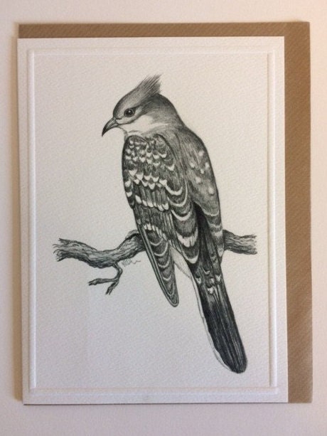 Cuckoo Card - Etsy