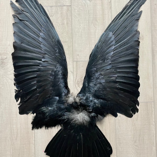 Raven Wings - Etsy