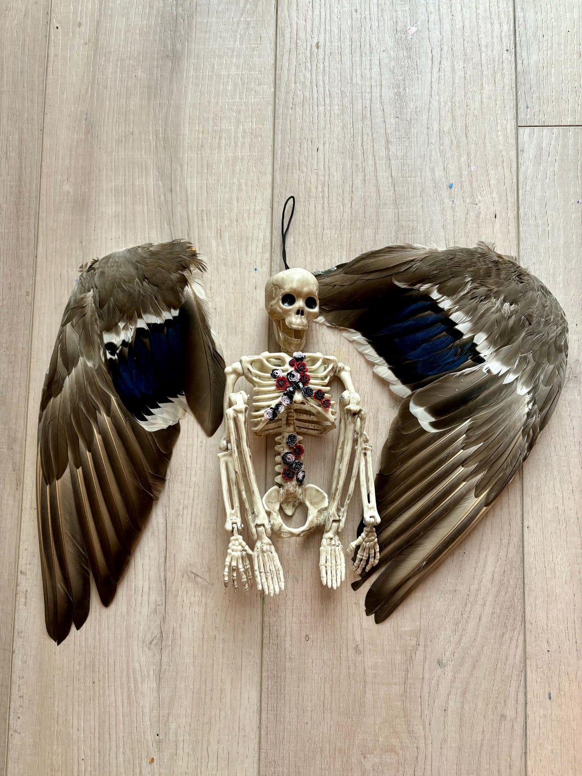 Plastic Skeleton With a Set of Duck Wings - Etsy
