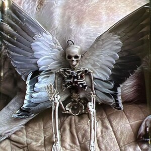 Plastic Skeleton With a Set of Duck Wings - Etsy
