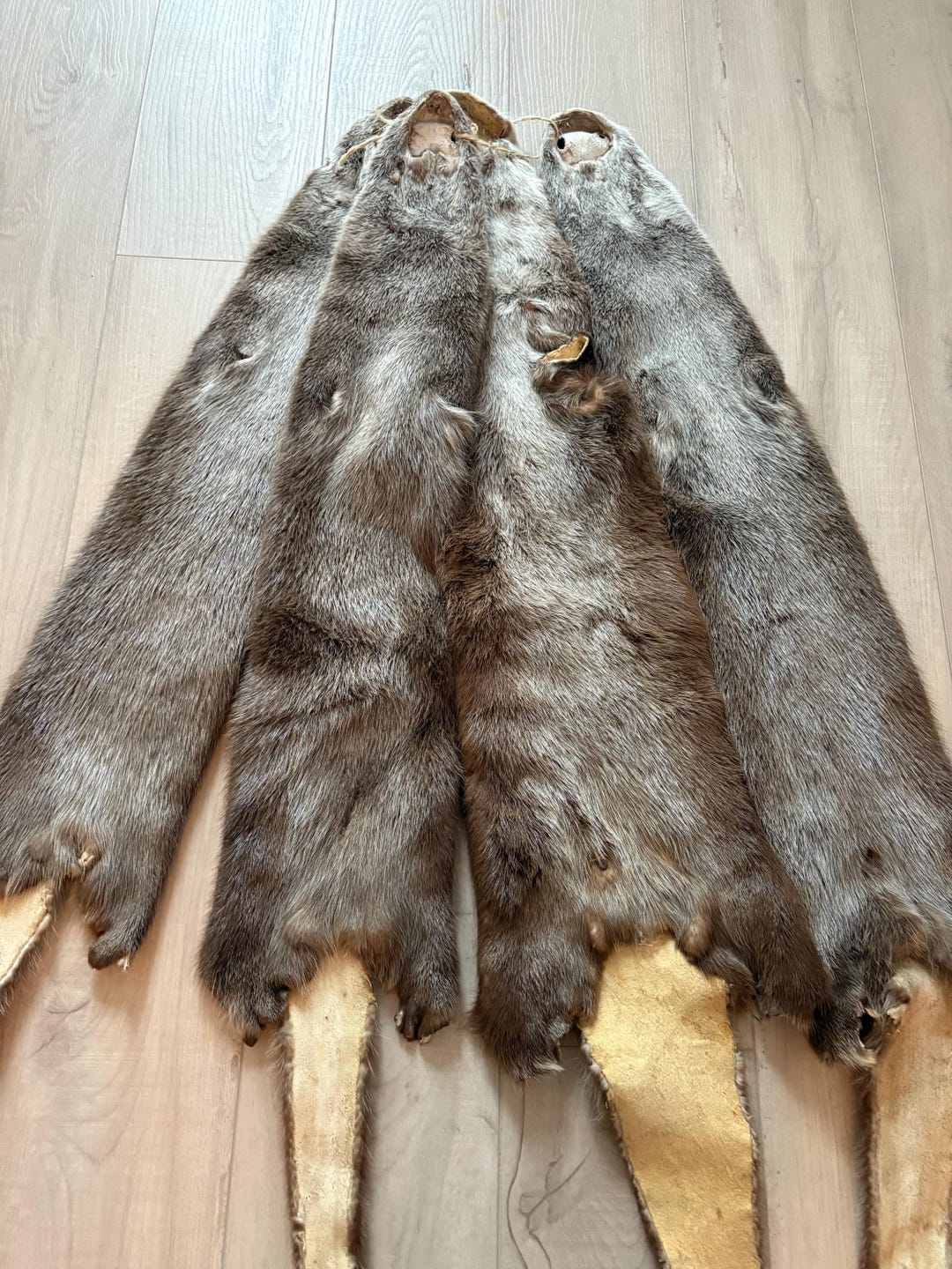 Natural River Otter Skin - Etsy