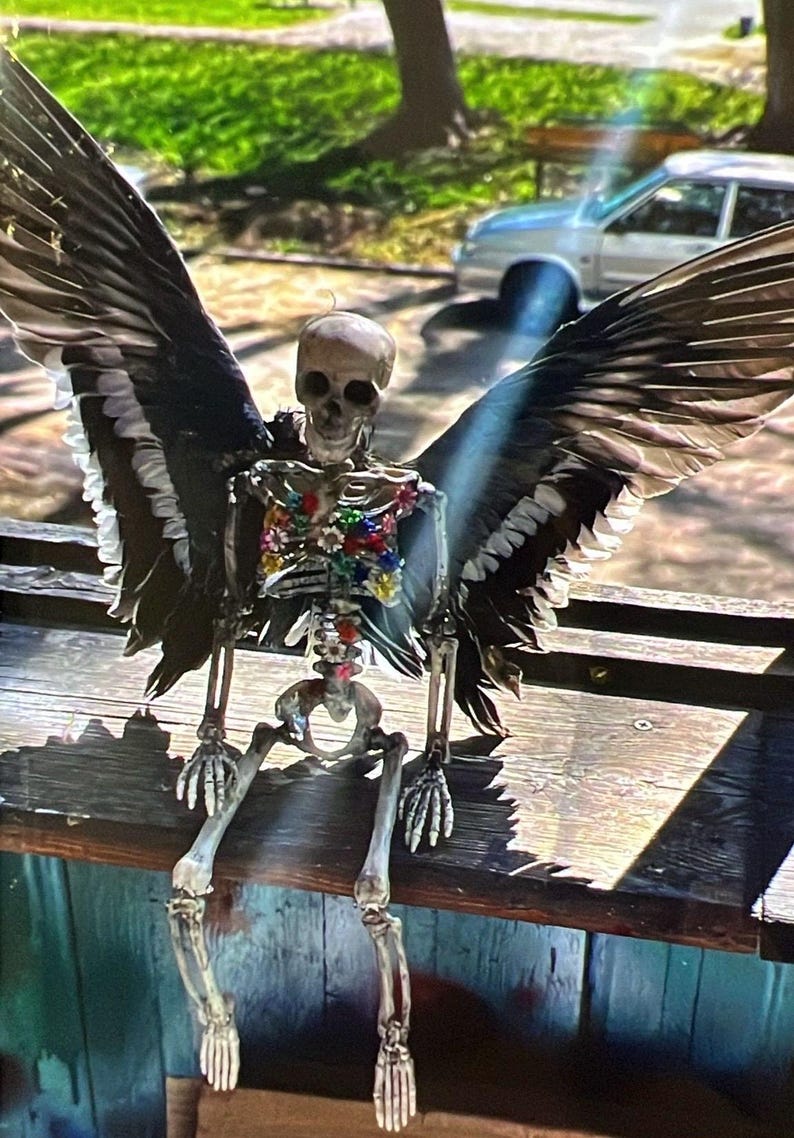 Plastic Skeleton With a Set of Duck Wings - Etsy