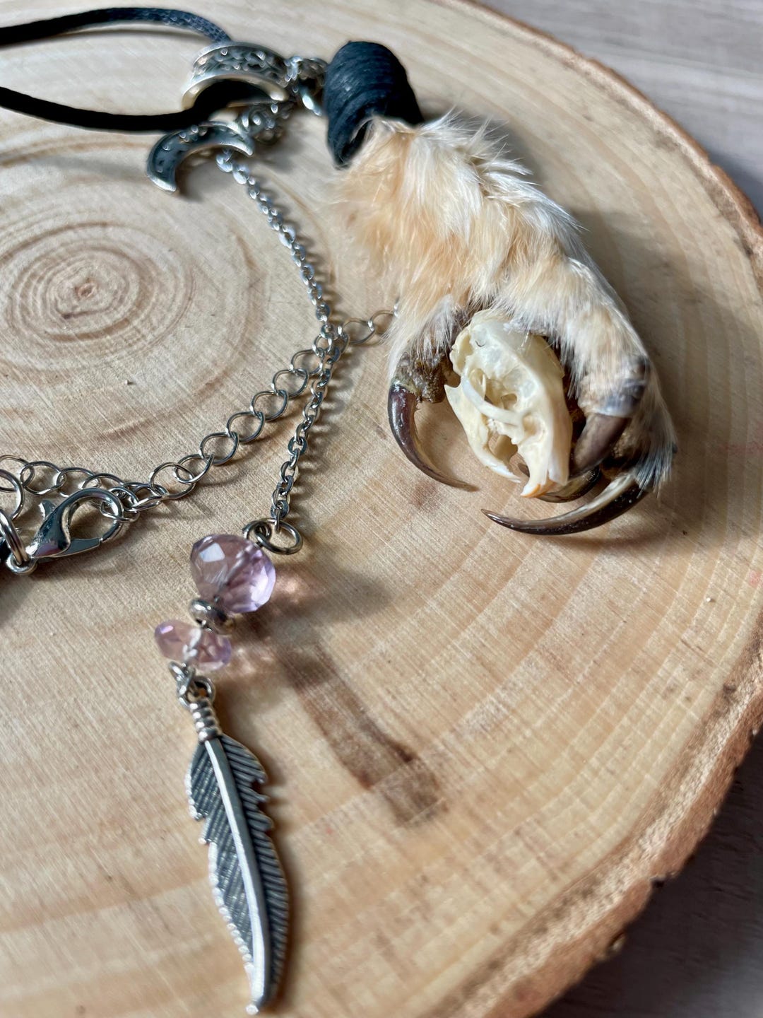Long Eared Owl Paw With a Skull of Field Mouse - Etsy