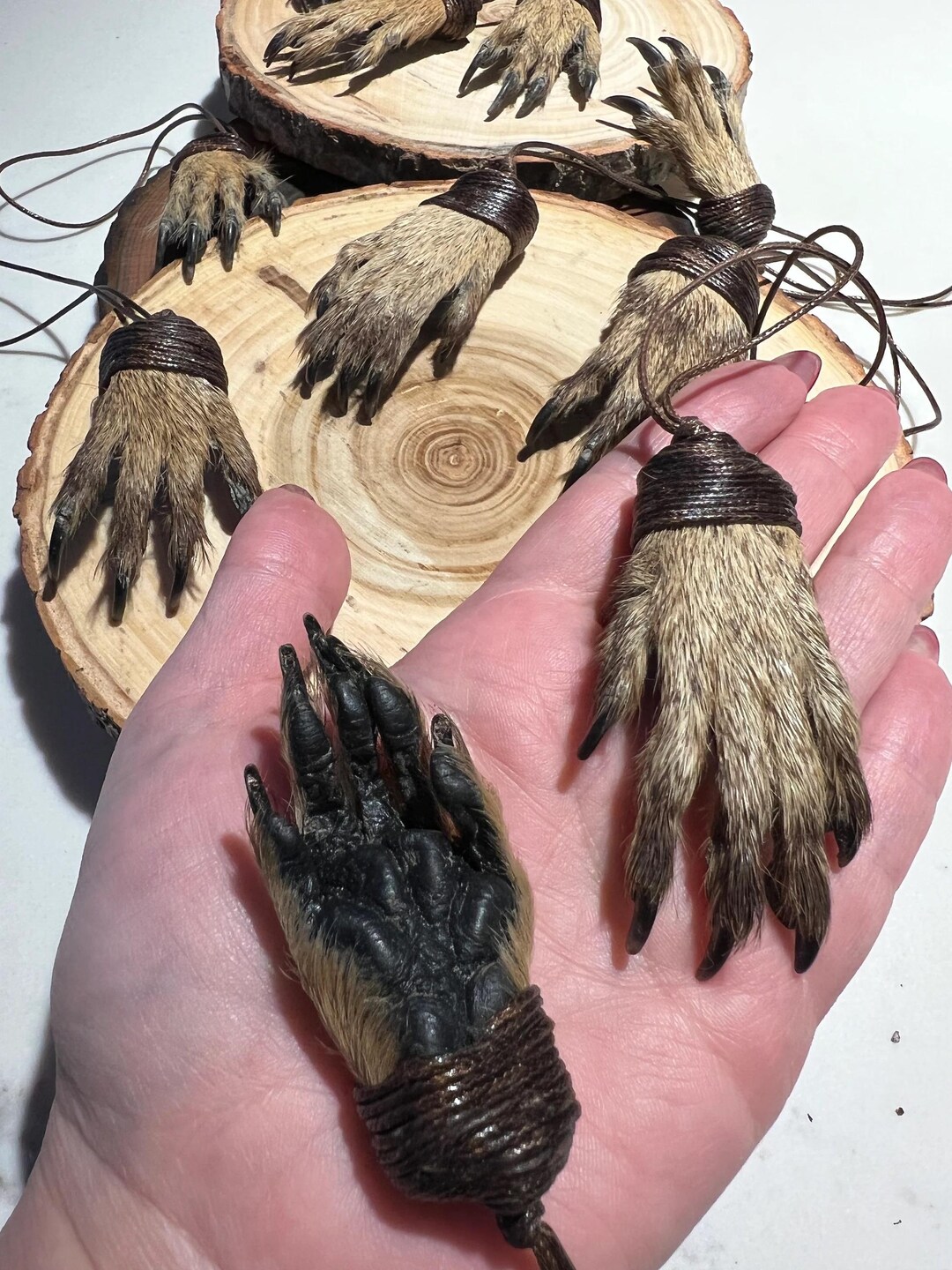 Groundhog's Paw - Etsy