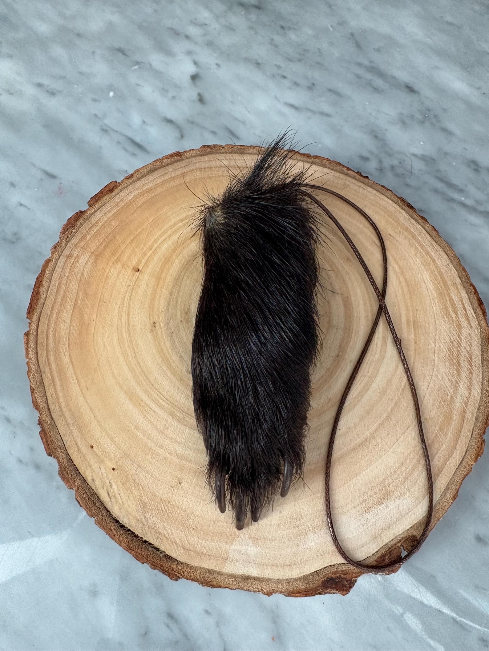 Amulet “badger Paw” - Etsy