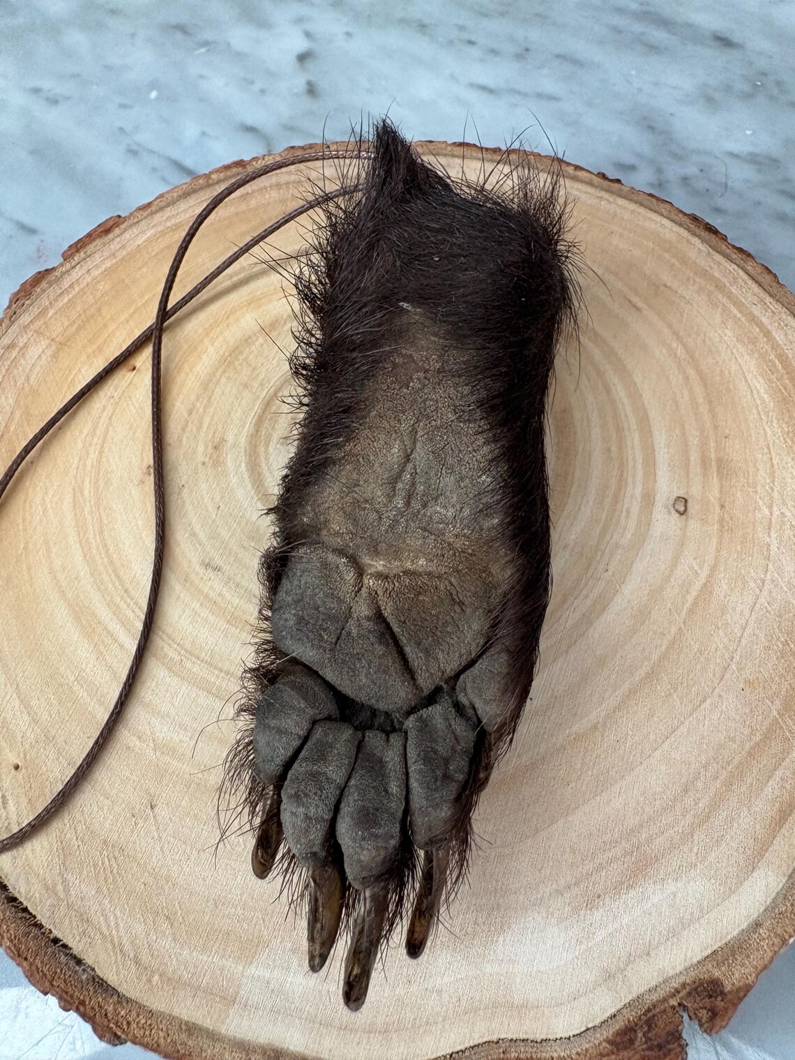 Amulet “badger Paw” - Etsy
