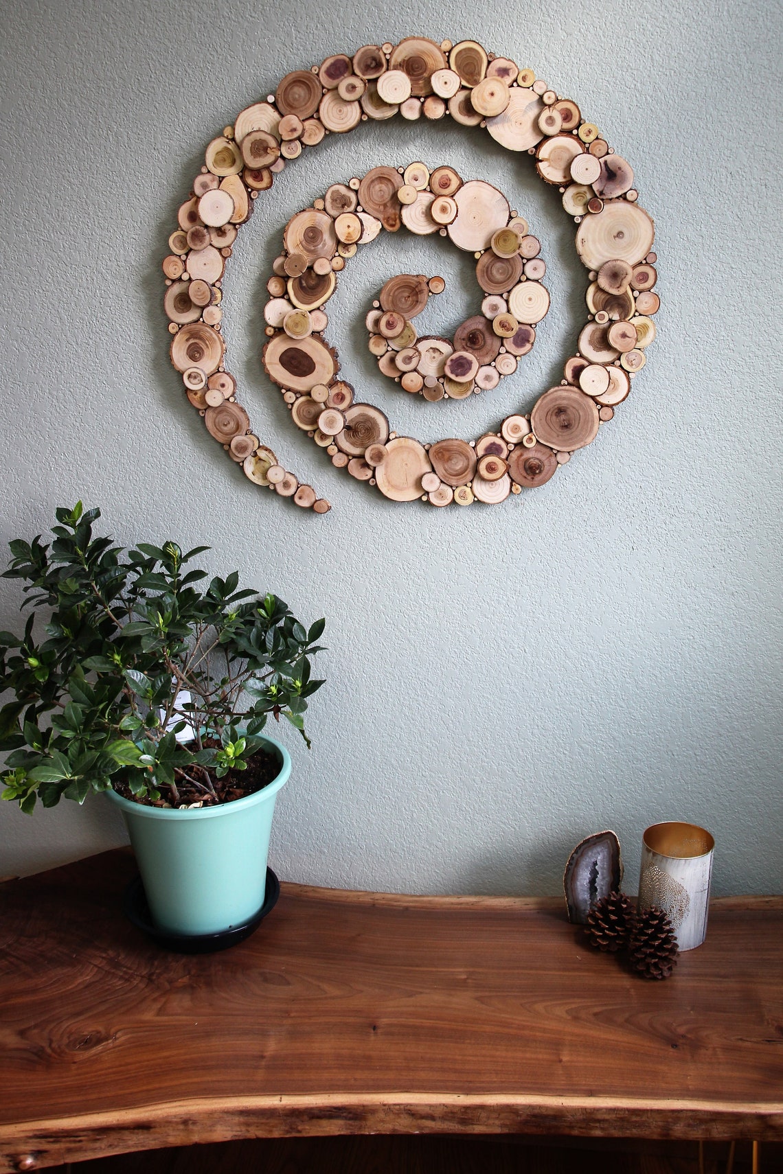 Grand art de mur de bois spirale vrai pin orme tranches - Etsy Canada