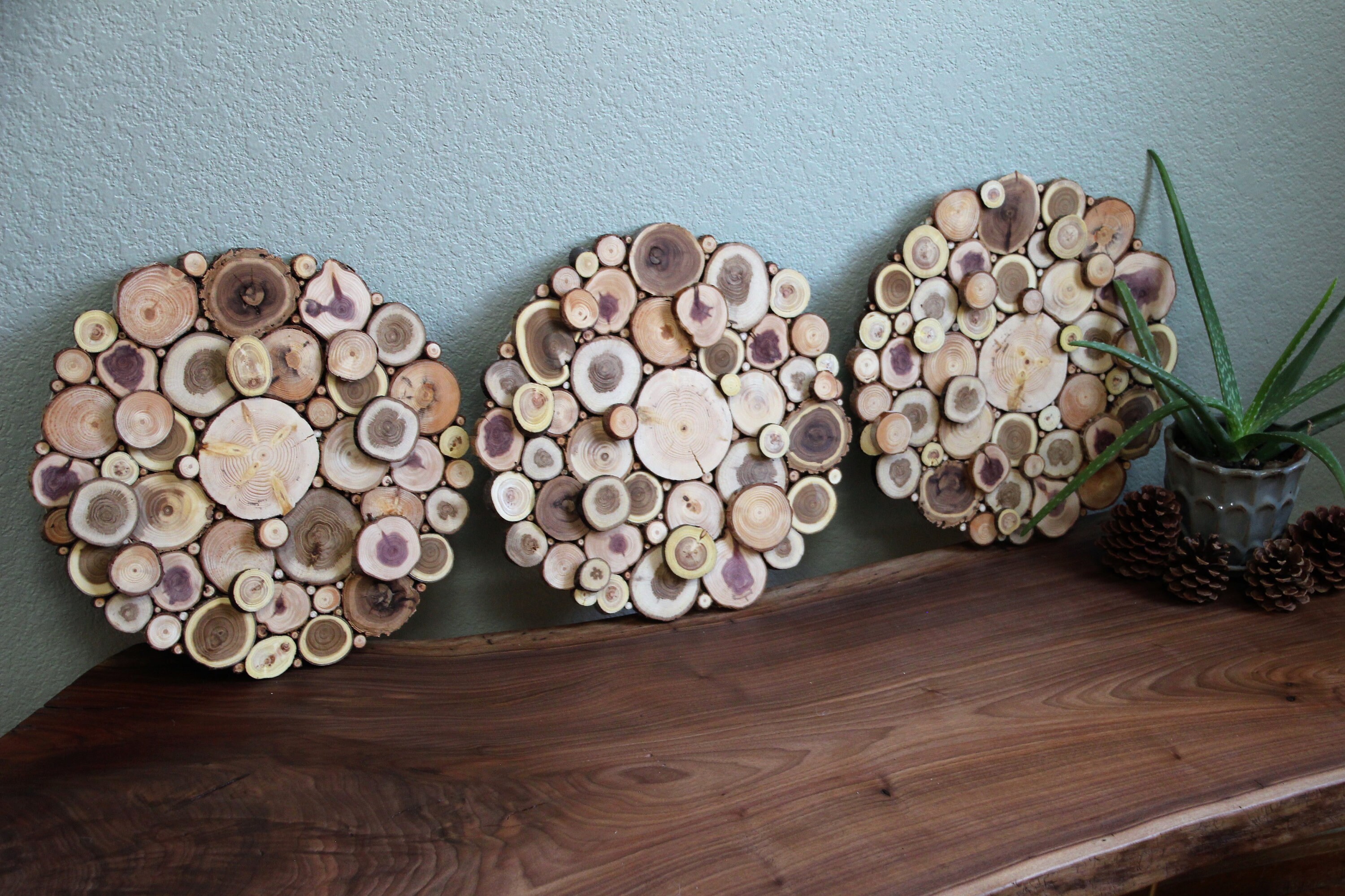 Wood Wall Art Set of 3 Circles Real Reclaimed Wood Slices | Etsy