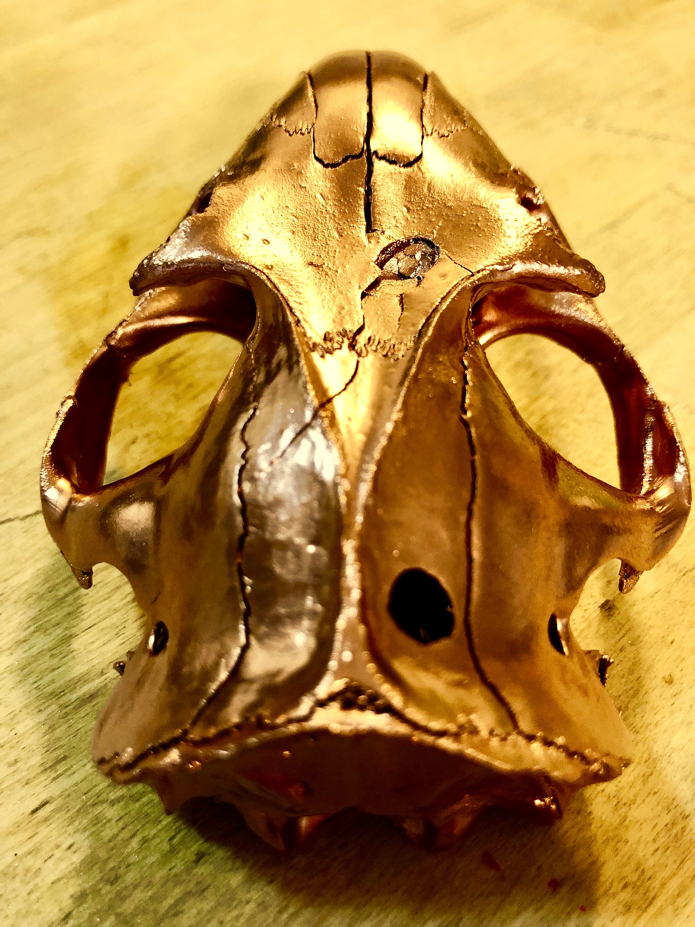 Groundhog Skull Painted Gold - Etsy