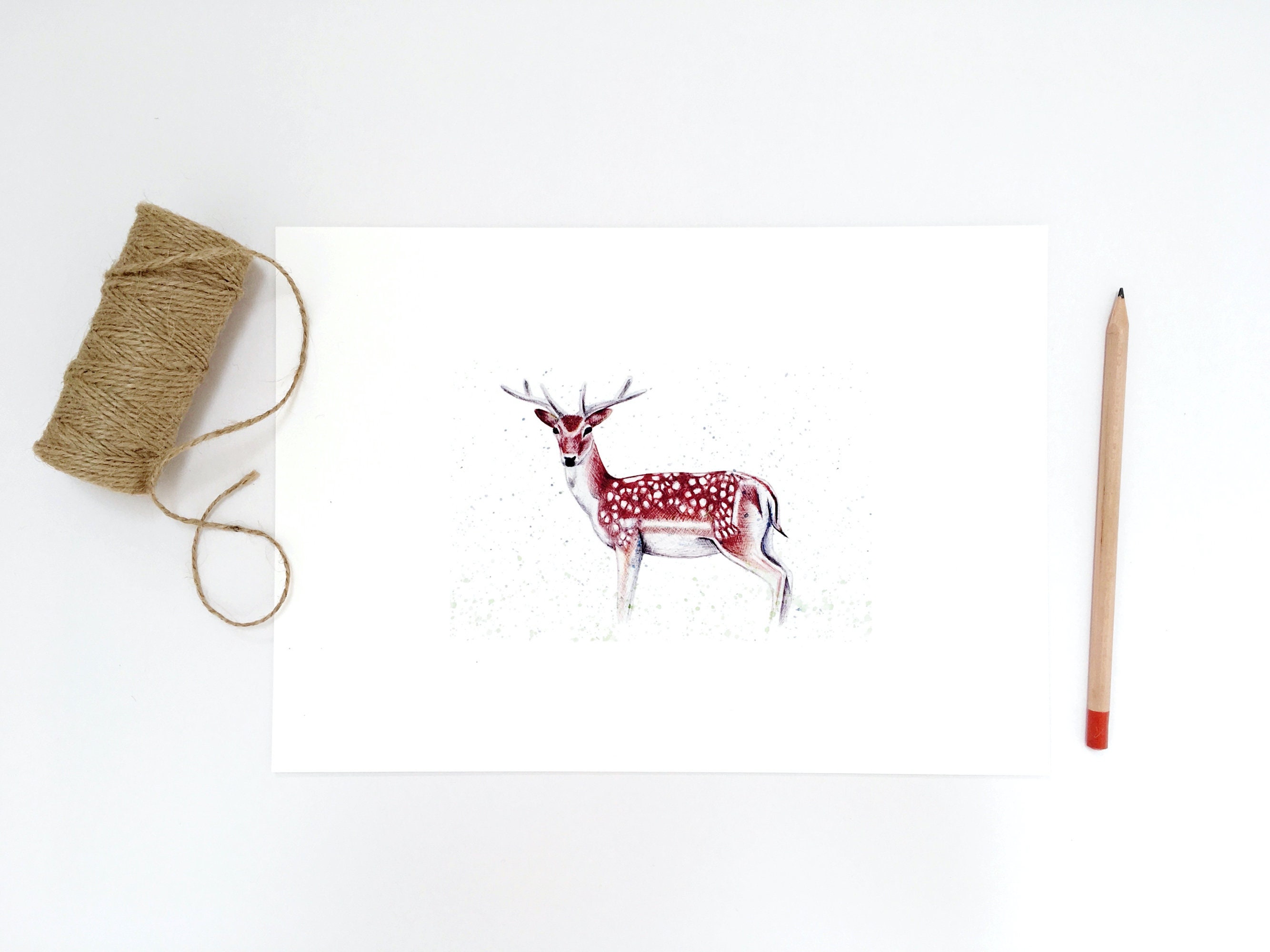 Fallow Deer Art Print - Etsy UK