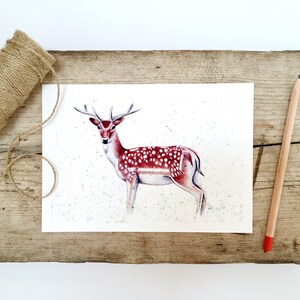 Fallow Deer Art Print - Etsy UK