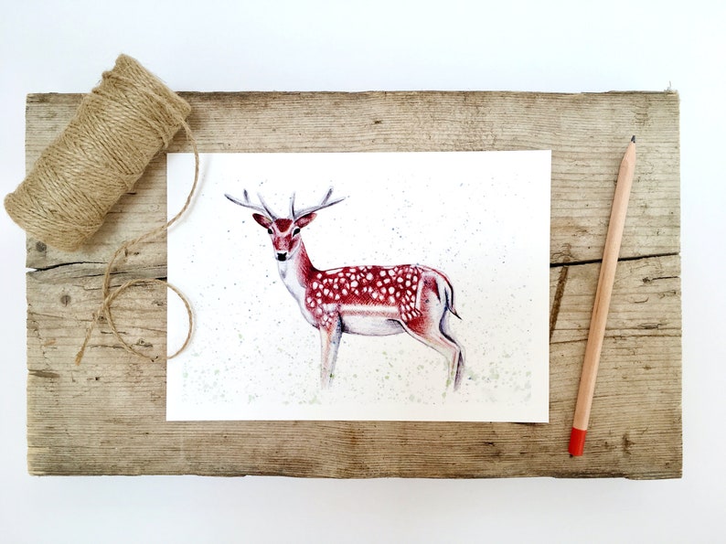 Fallow Deer Art Print - Etsy UK