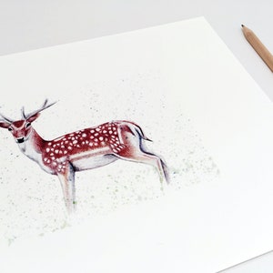 Fallow Deer Art Print - Etsy UK