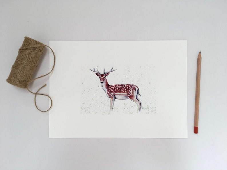 Fallow Deer Art Print | Etsy