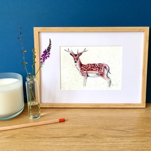 Fallow Deer Art Print - Etsy UK