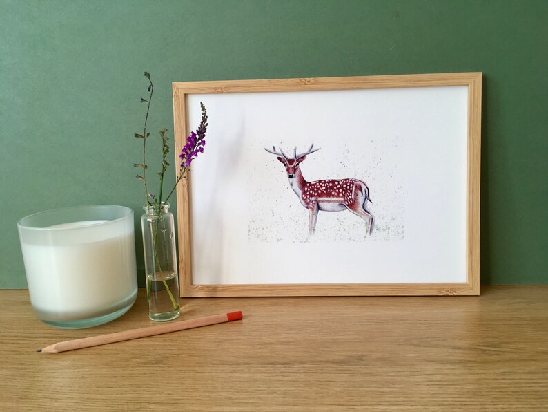Fallow Deer Art Print | Etsy
