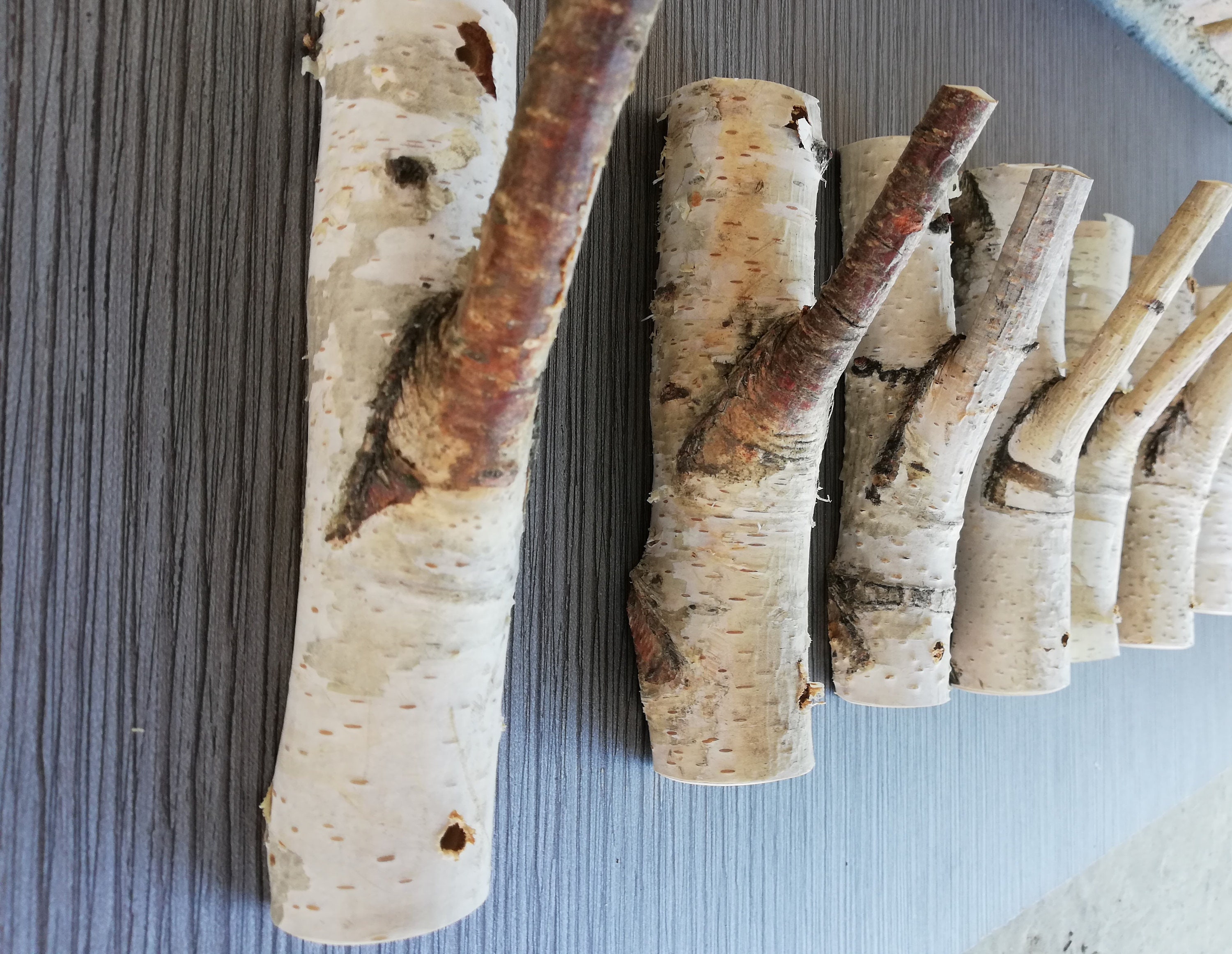 Coat Hooks. Wood Hooks. Tree Branch Hooks. Birch Hooks. - Etsy UK