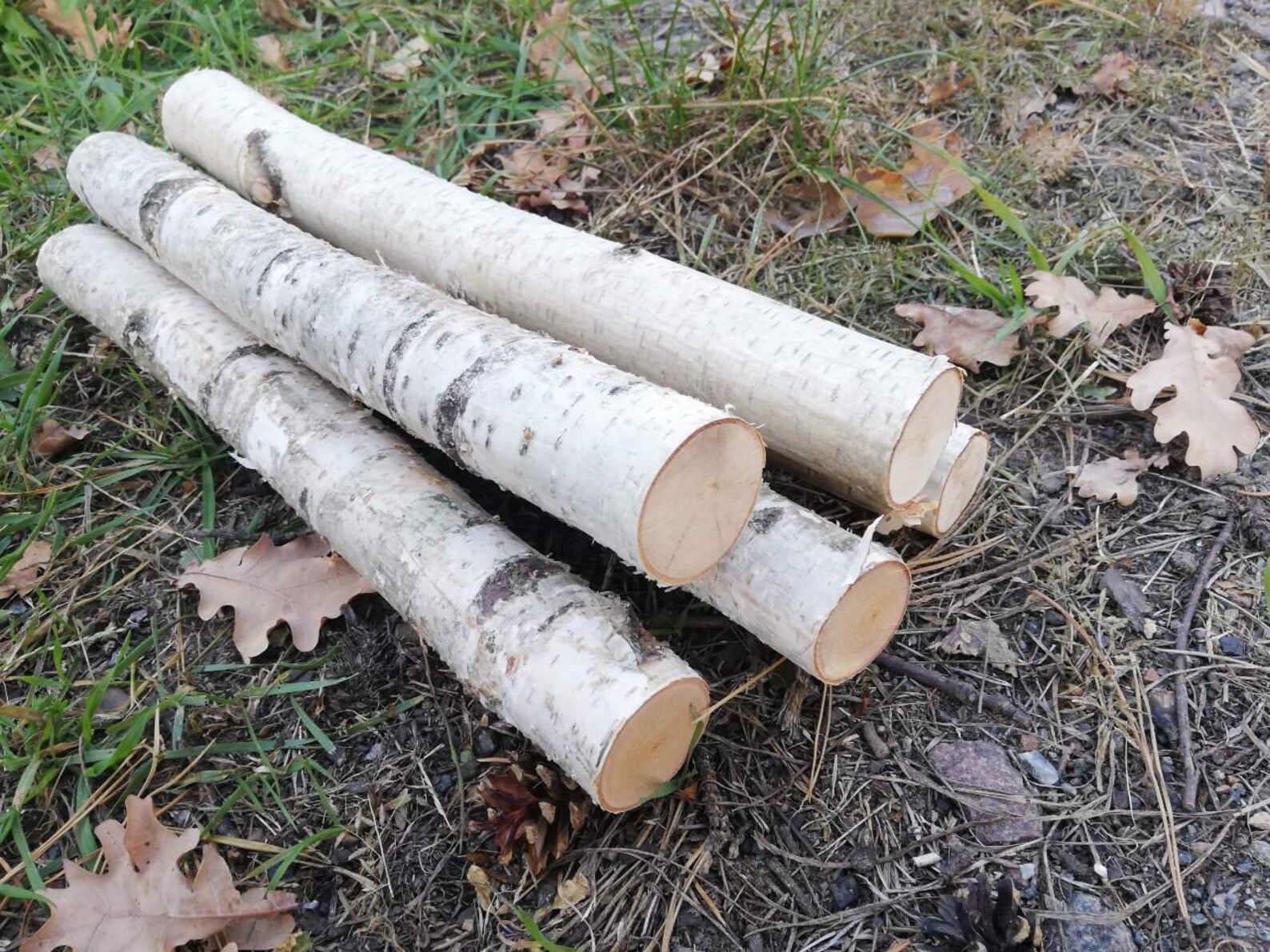 5 Natural Wood Logs. Wooden Logs. Logs. Craft Supplies. Wood - Etsy ...