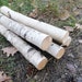 5 Natural Wood Logs. Wooden Logs. Logs. Craft Supplies. Wood Log ...