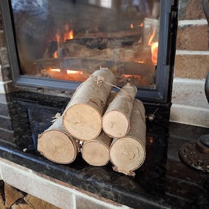 5 Birch Logs White Wood Logs Fireplace Logs Craft Birch White Birch ...