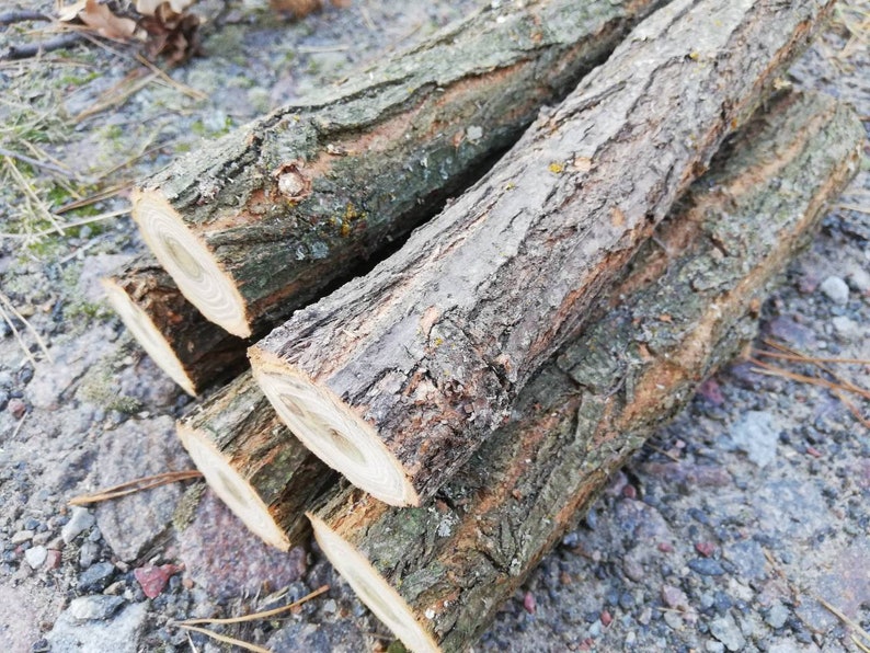 5 Wood Logs Log With Bark Rustic Log Decor Log Decor Fireplace - Etsy