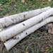 5 Natural Wood Logs. Wooden Logs. Logs. Craft Supplies. Wood Log ...