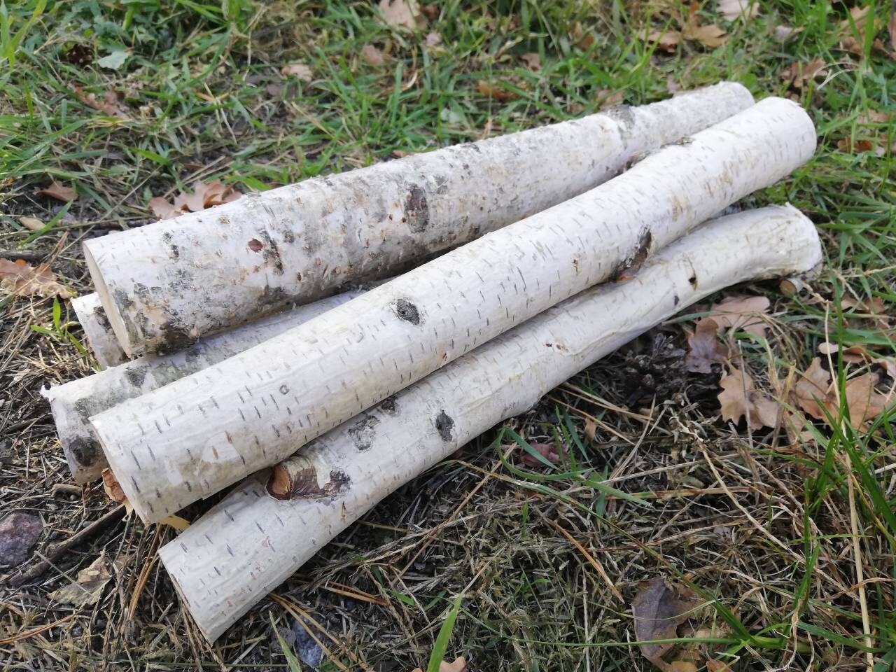 5 Natural Wood Logs. Wooden Logs. Logs. Craft Supplies. Wood | Etsy ...