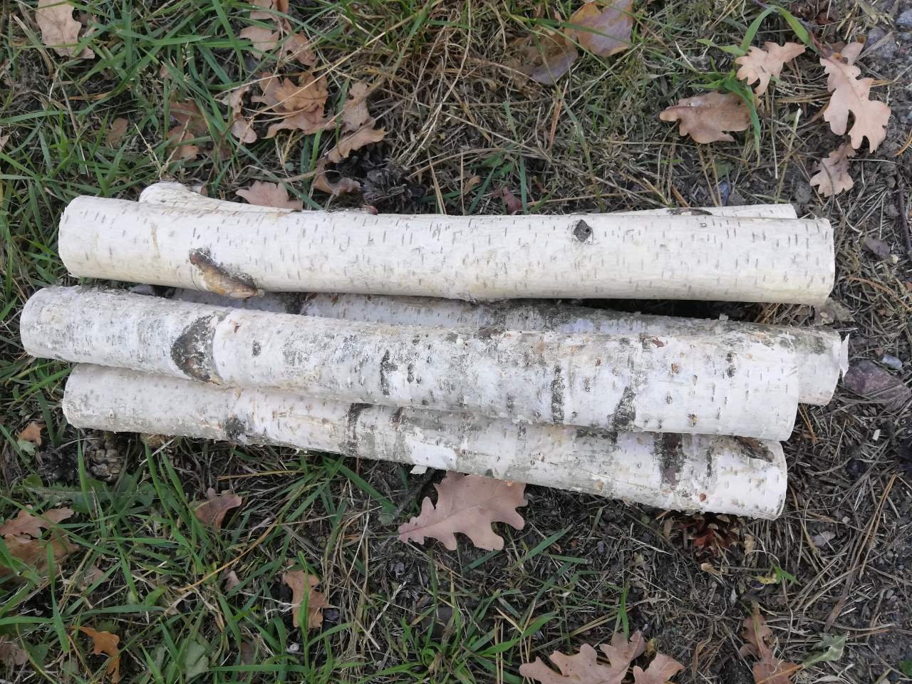 5 natural wood logs. Wooden logs. Logs. Craft supplies. Wood | Etsy