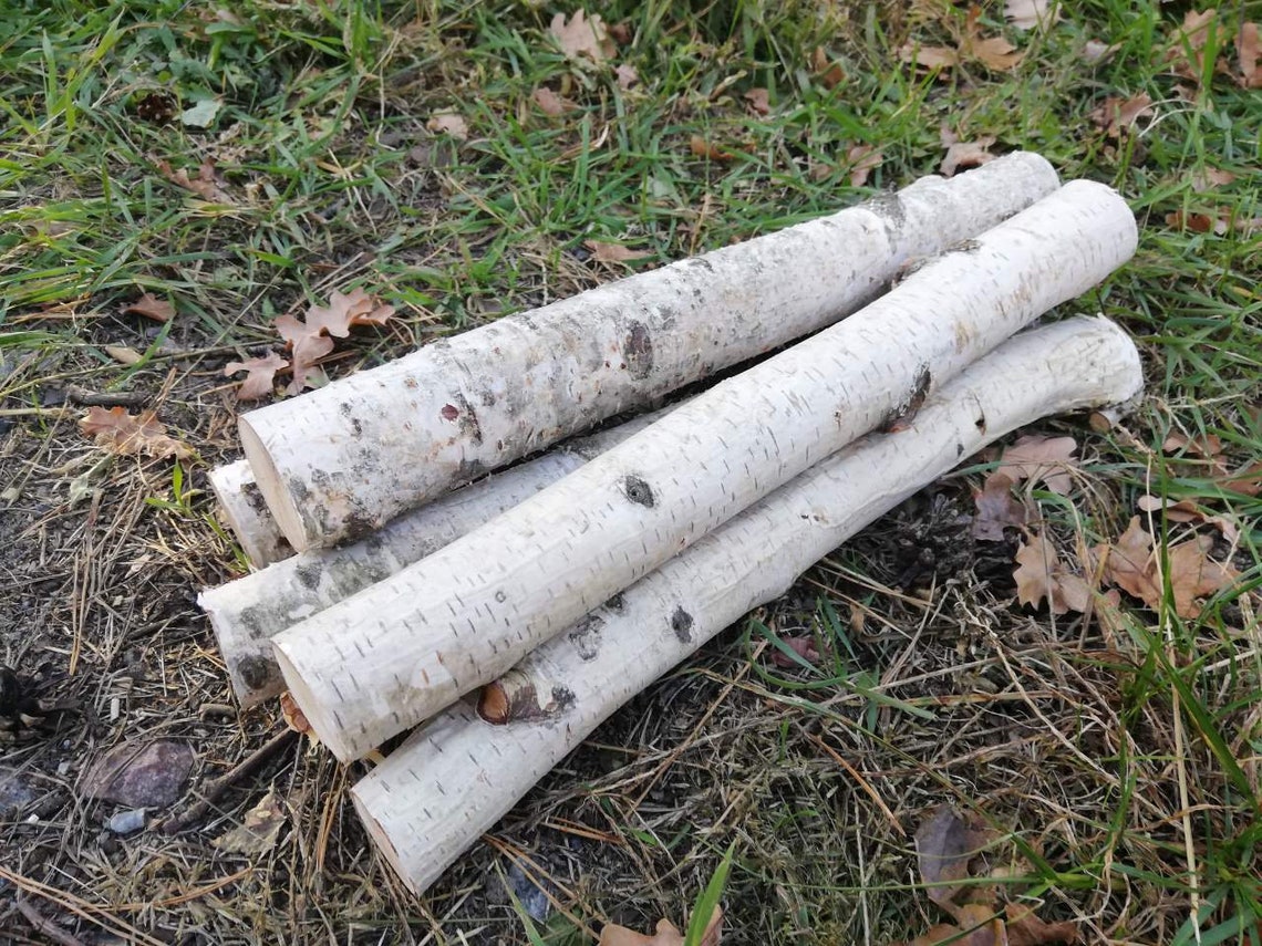 5 Natural Wood Logs. Wooden Logs. Logs. Craft Supplies. Wood - Etsy ...