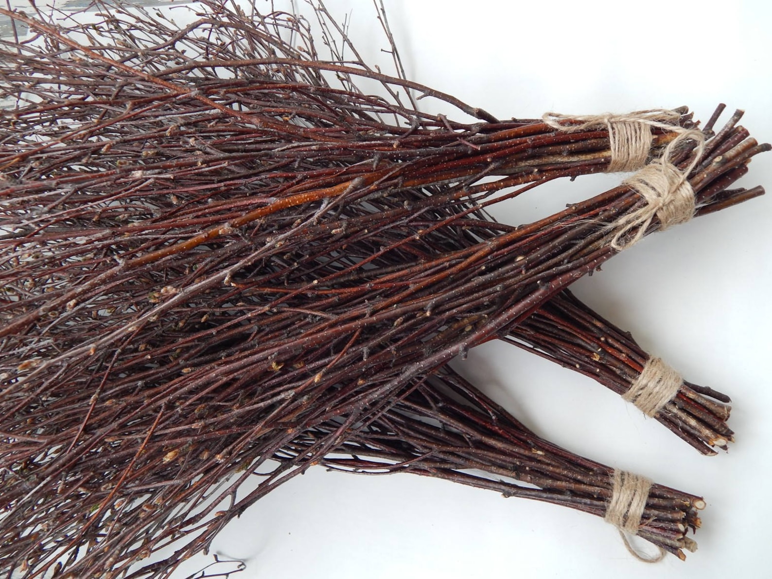 SALE Birch Branches 100 Pcs. Wood Twigswoodland - Etsy